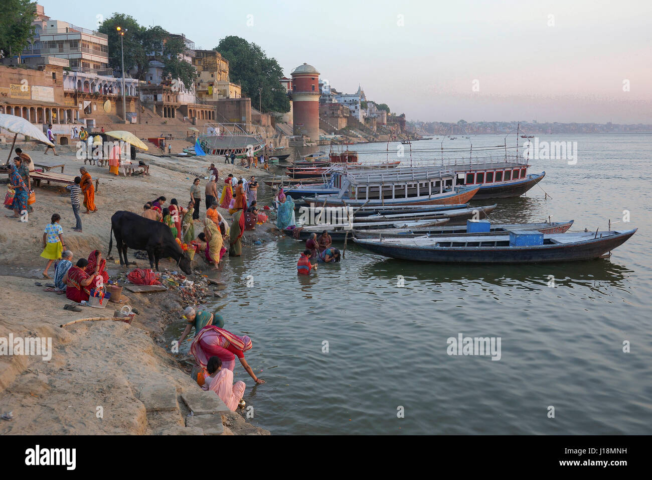 Rewa ghat, varanasi, uttar pradesh, india, asia Stock Photo - Alamy
