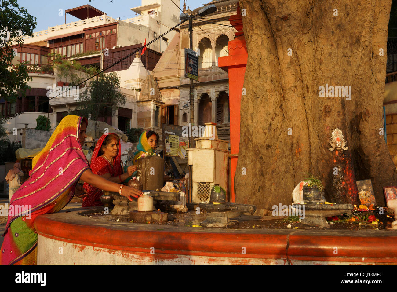 Shivalinga High Resolution Stock Photography and Images - Alamy