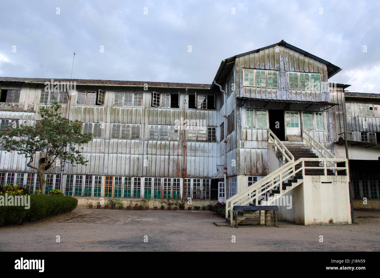 Tea factory, vagamon, kerala, india, asia Stock Photo - Alamy