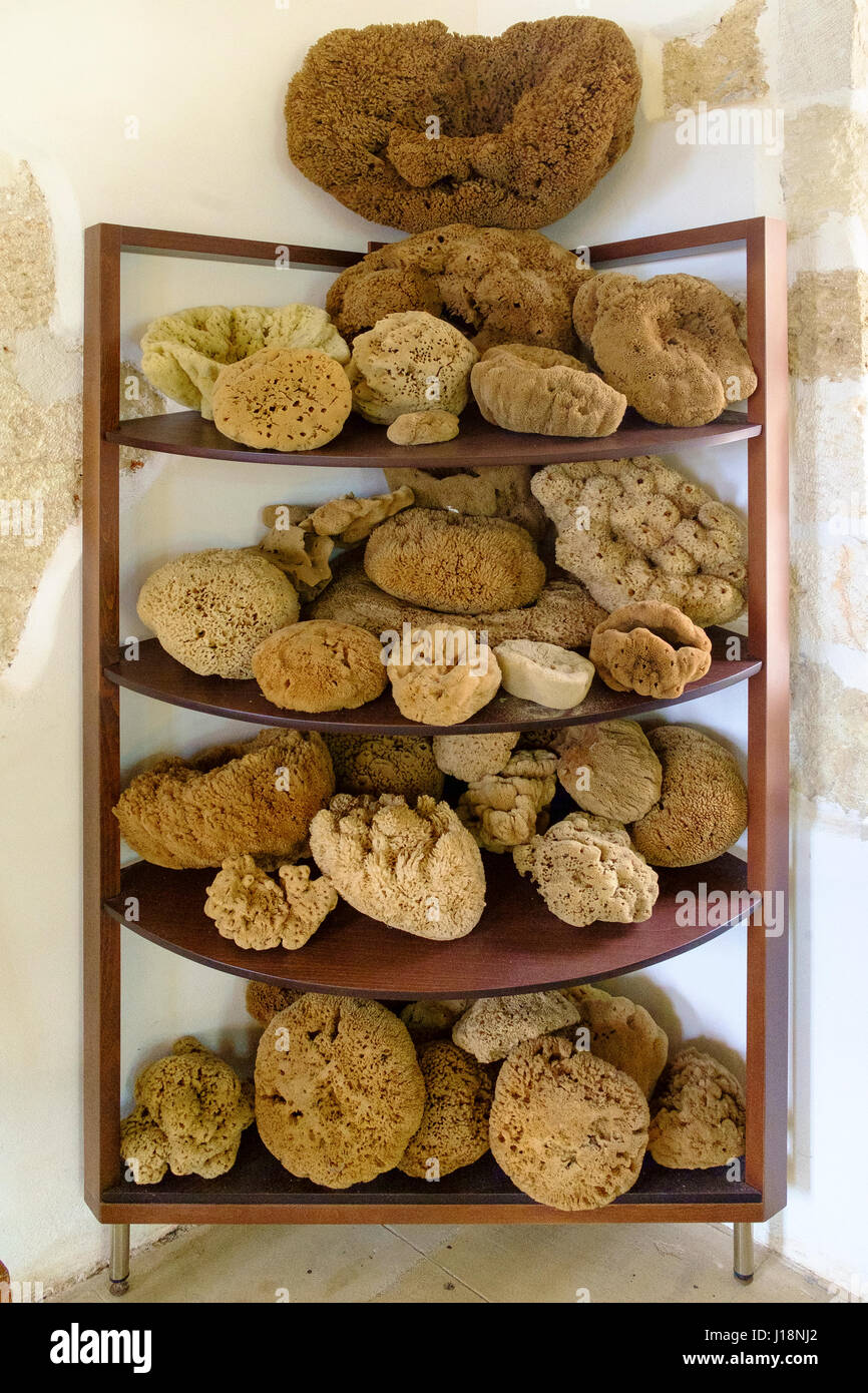 Sea sponge texture hi-res stock photography and images - Alamy