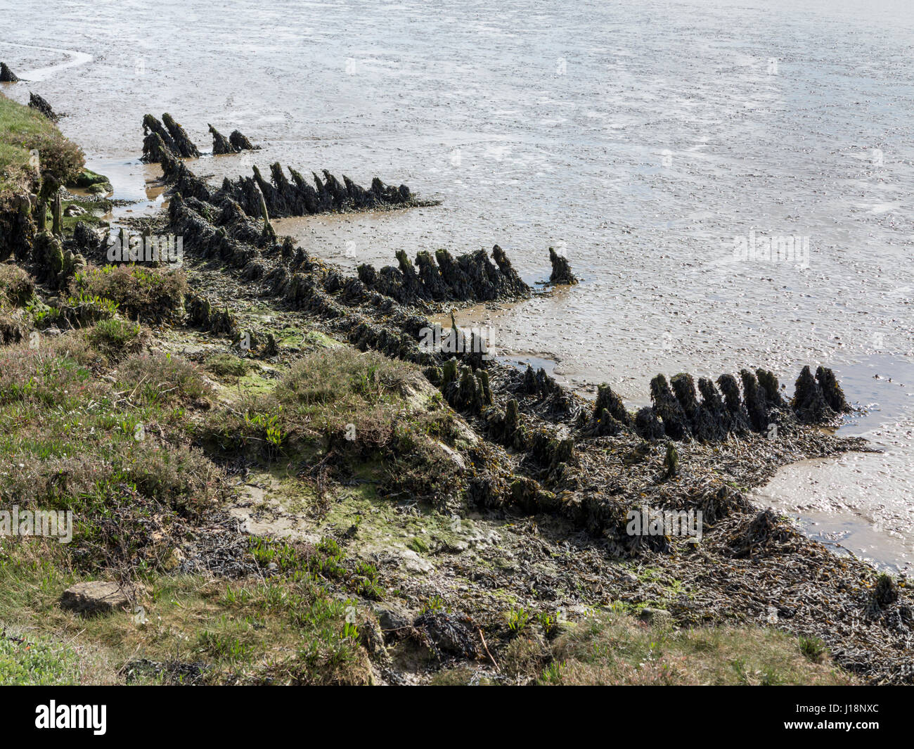 Groynes on river hi-res stock photography and images - Alamy
