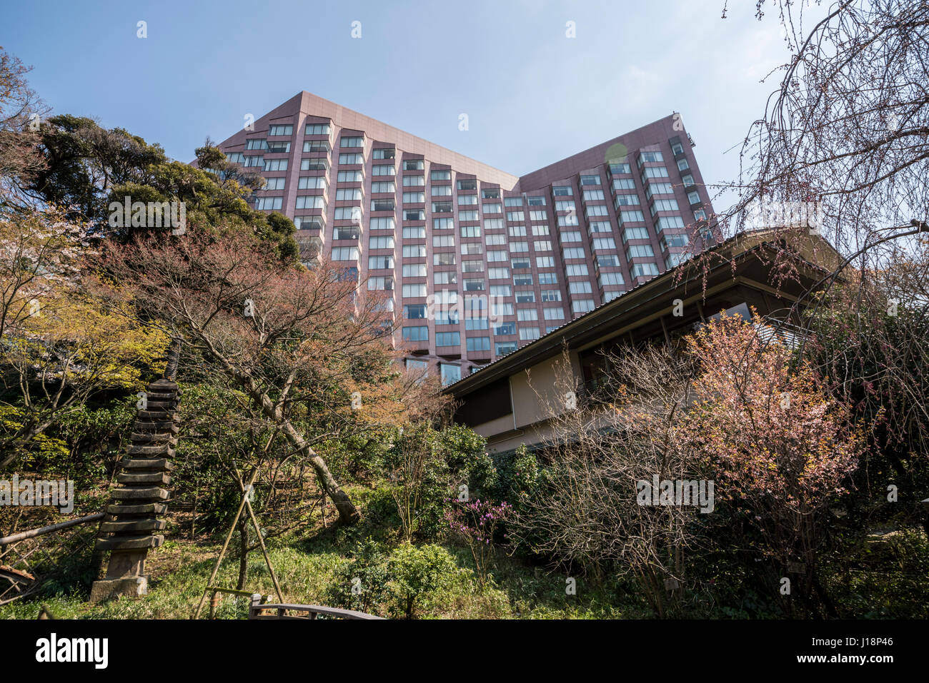 Cherry Blossom, Hotel Chinzanso Tokyo, Bunkyo-Ku, Tokyo, Japan Stock ...