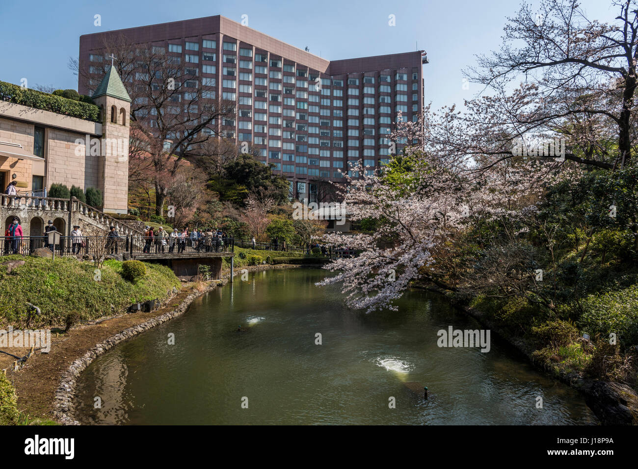 Cherry Blossom, Hotel Chinzanso Tokyo, Bunkyo-Ku, Tokyo, Japan Stock ...