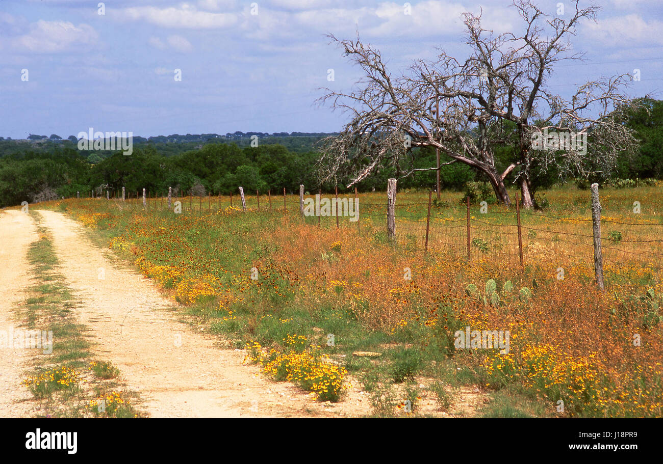 Gillespie County High Resolution Stock Photography and Images - Alamy