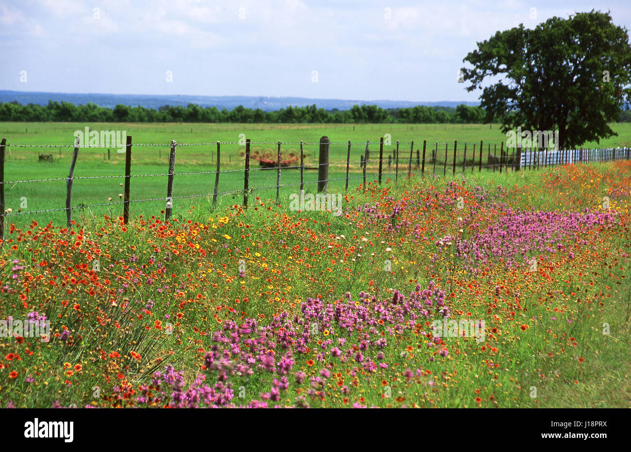 Gillespie county hi-res stock photography and images - Alamy