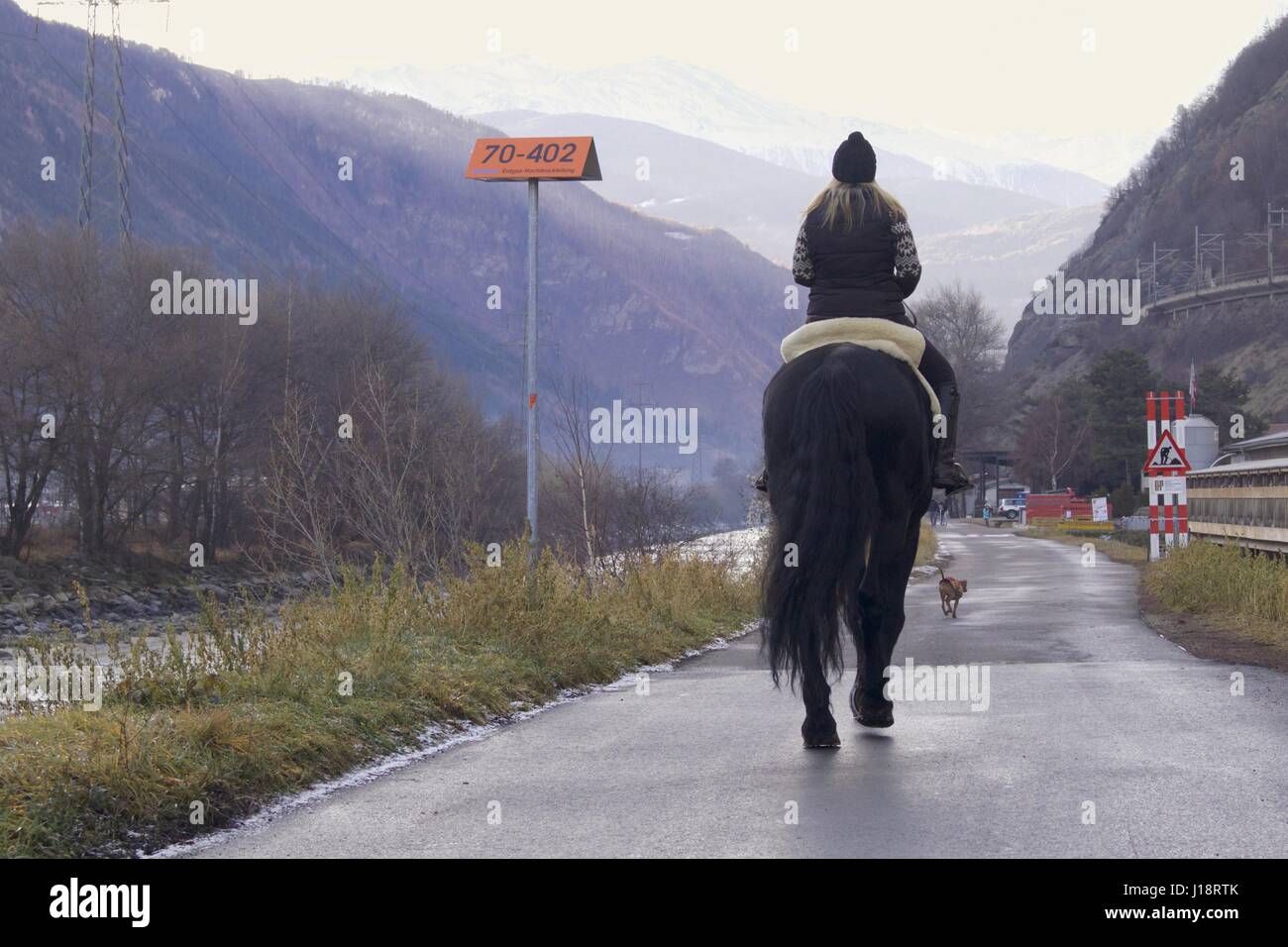 Friesian Horse Riding High Resolution Stock Photography and Images - Alamy