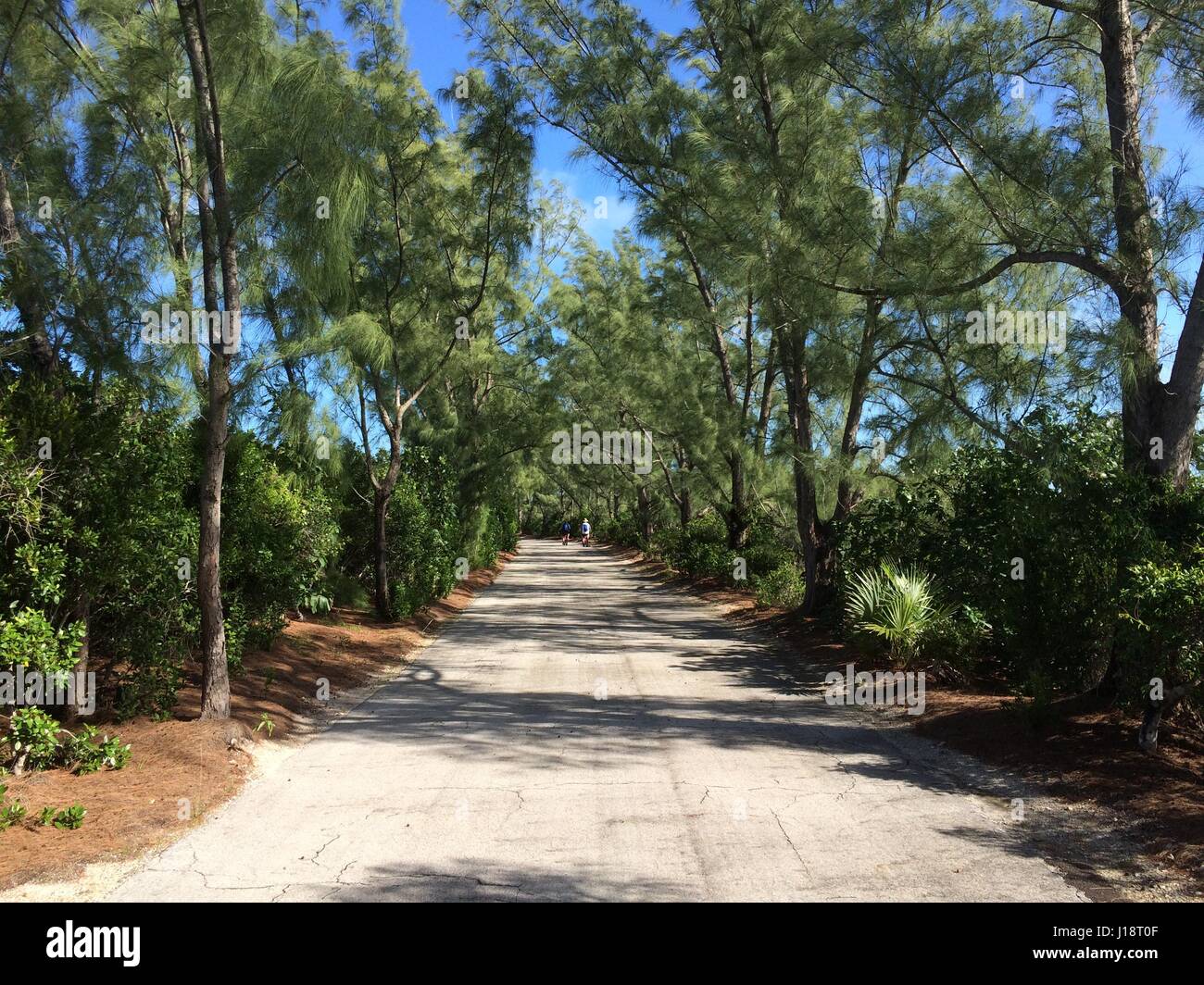 Castaway Cay High Resolution Stock Photography and Images - Alamy