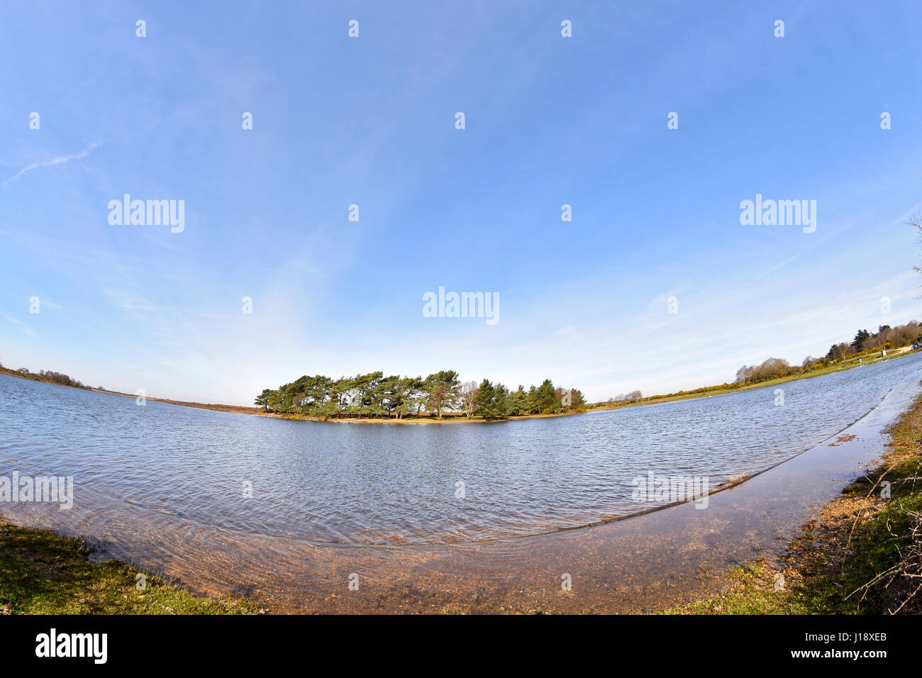 Fisheye view of Hatchet pond in the New Forest National Park, hampshire ...