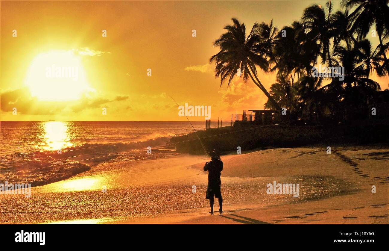 Waianae High Resolution Stock Photography and Images - Alamy