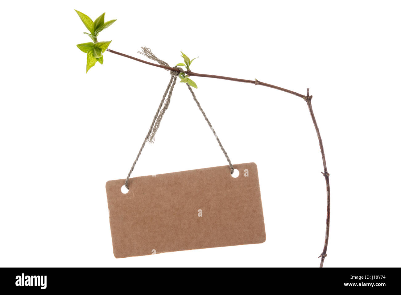 Spring branch with blank tag tied with string. Isolated on white ...