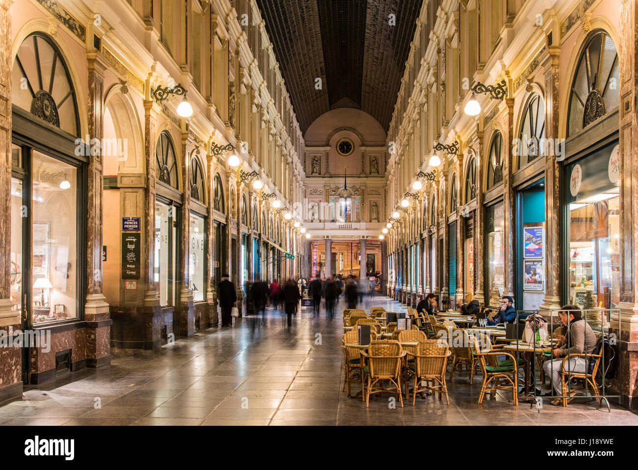 St hubert hi-res stock photography and images - Alamy