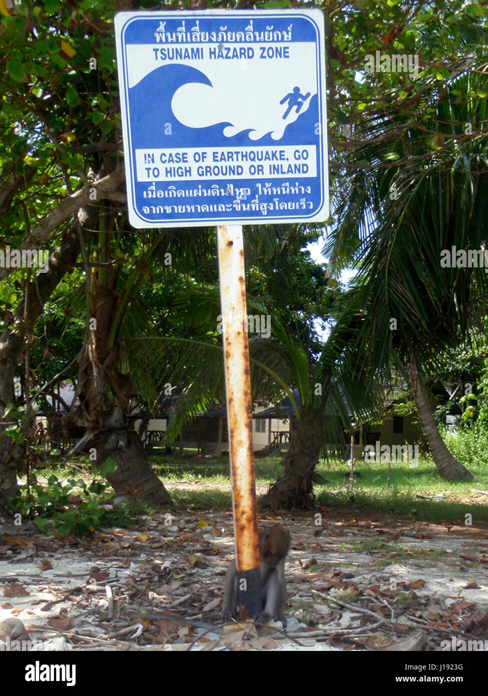Tsunami hazard zone sign on Phi Phi don island. Relax Beach. Phak Nam ...