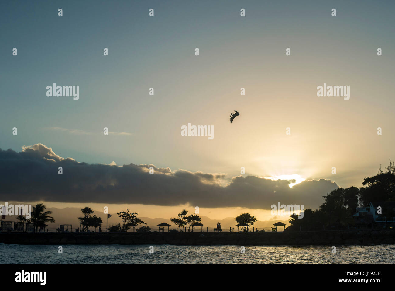 flying at sunset Stock Photo - Alamy