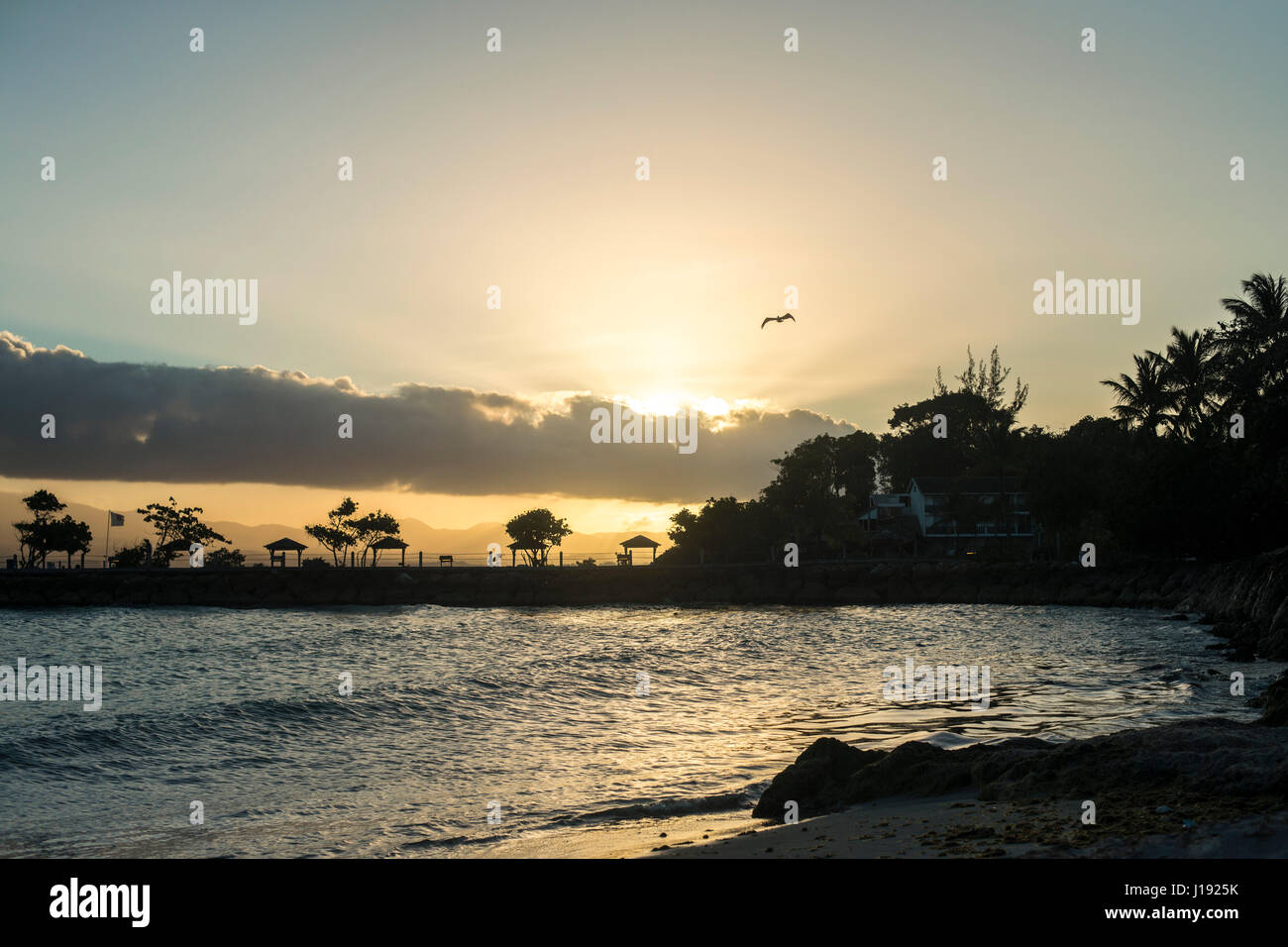 flying at sunset Stock Photo - Alamy