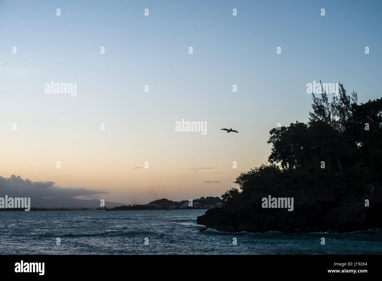 flying at sunset Stock Photo - Alamy