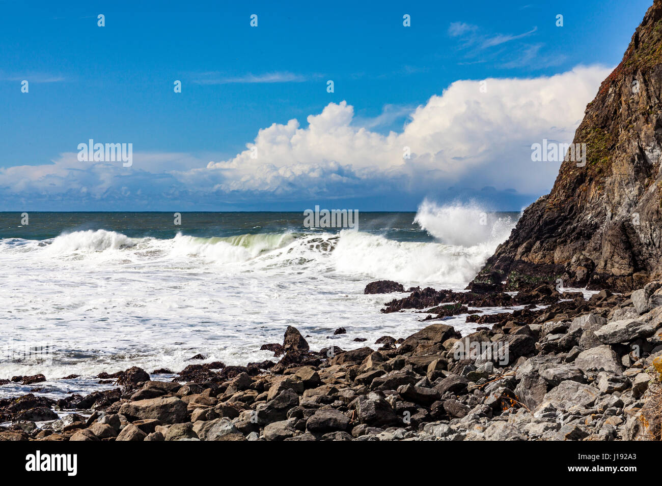The Northern California coastline in Sonoma County at Jenner California ...