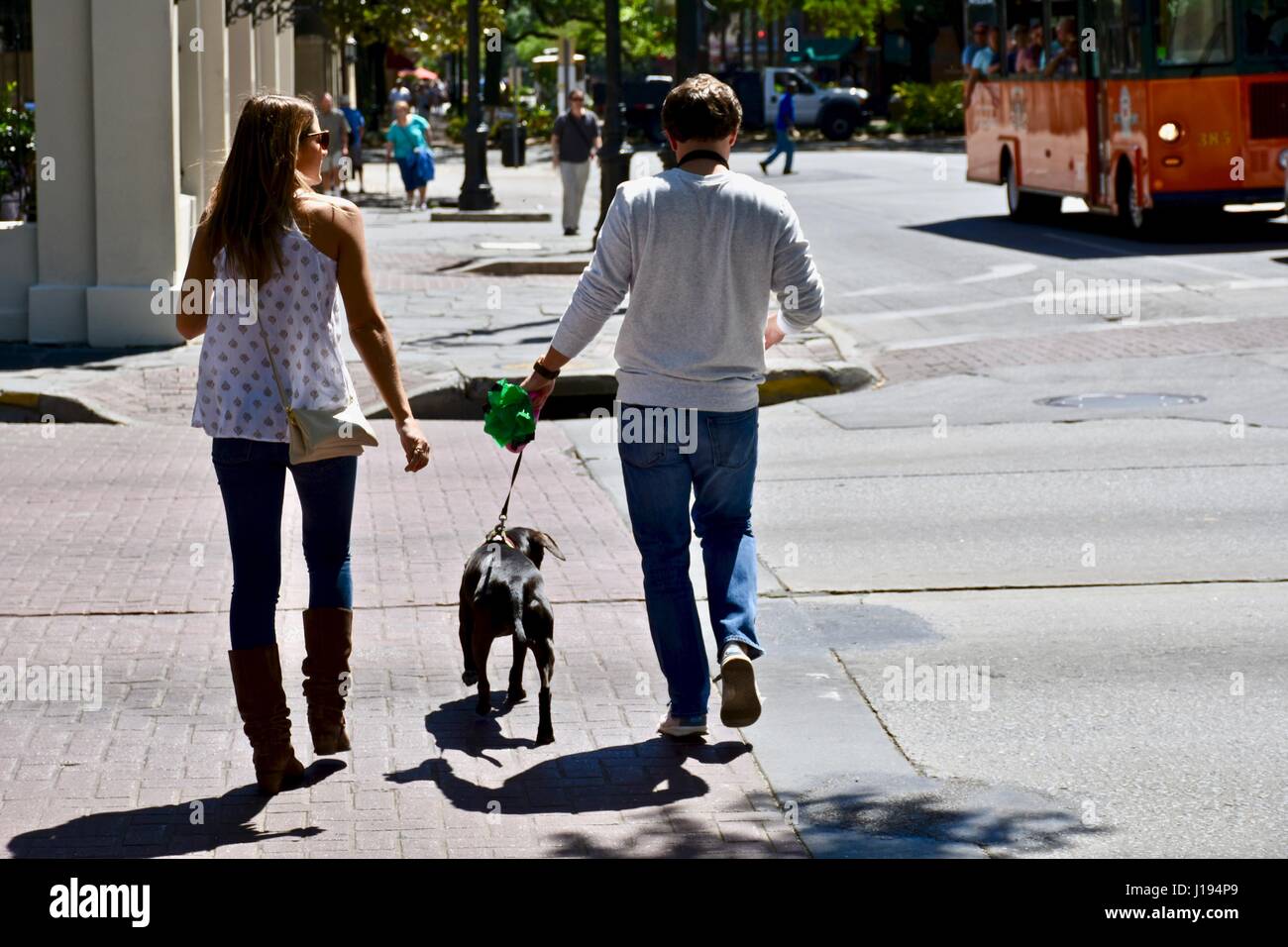 Couple walking a dog across the street, Savannah, GA, USA Stock Photo ...