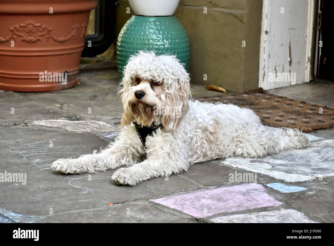 Laying down outside hi-res stock photography and images - Alamy