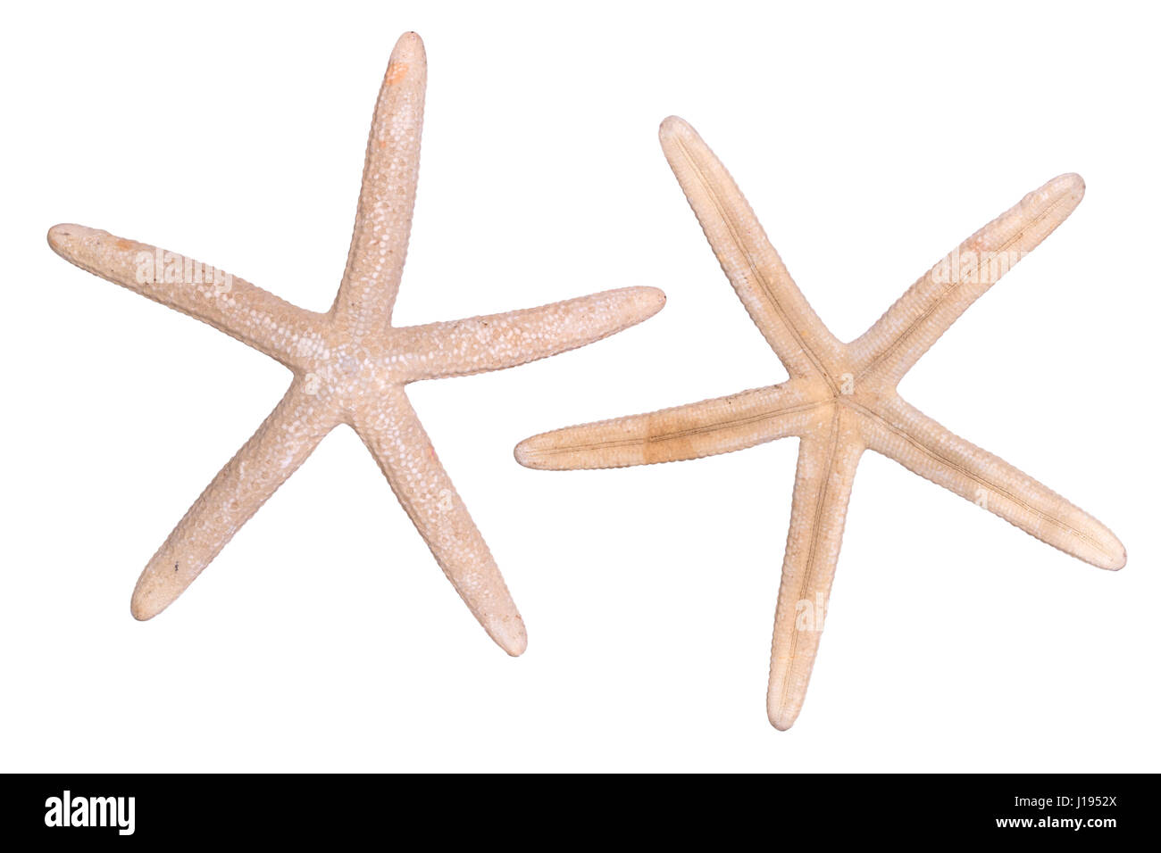 Summer background from sea Cut Out Stock Images & Pictures - Alamy