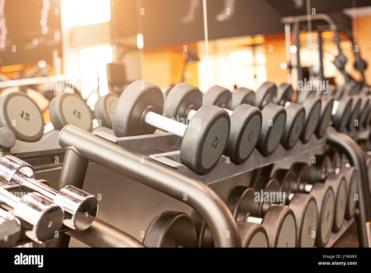 Rows of dumbbells in the gym Stock Photo - Alamy