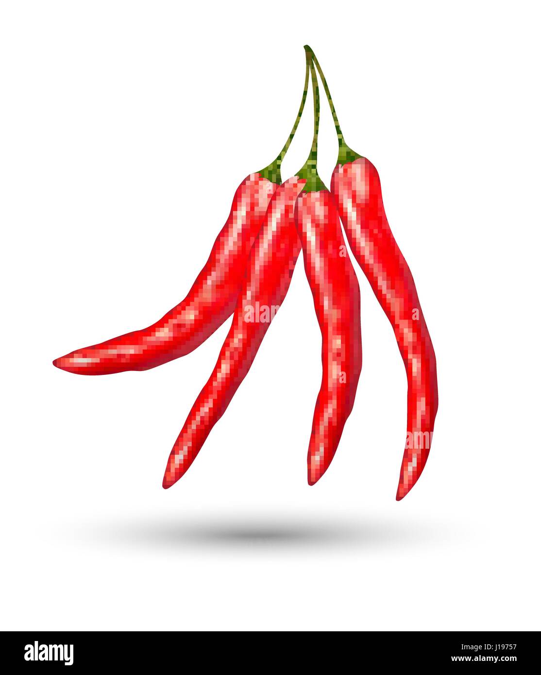 real red chilli on a white background Stock Vector Image & Art - Alamy