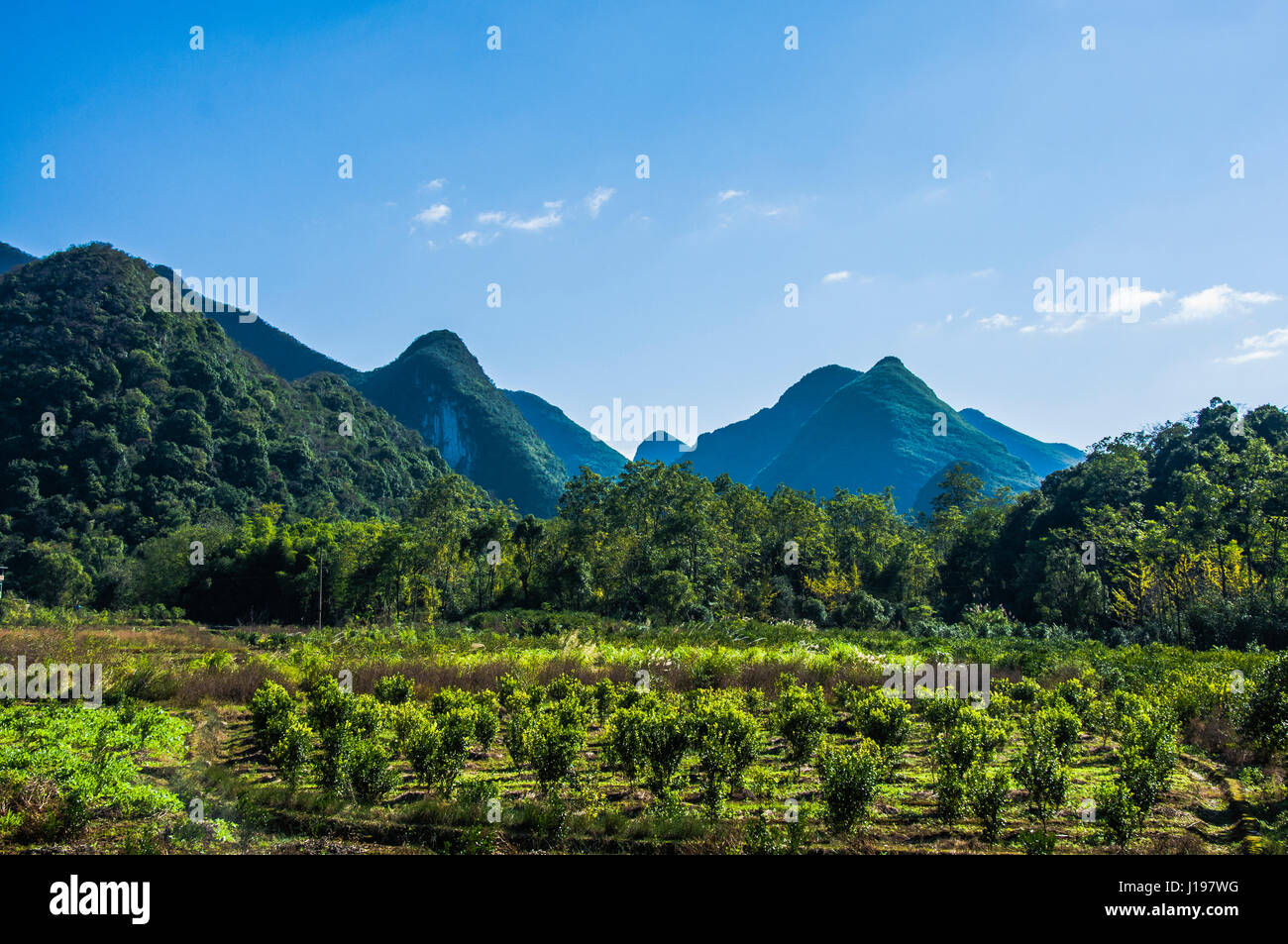 Beautiful scenerys hi-res stock photography and images - Alamy