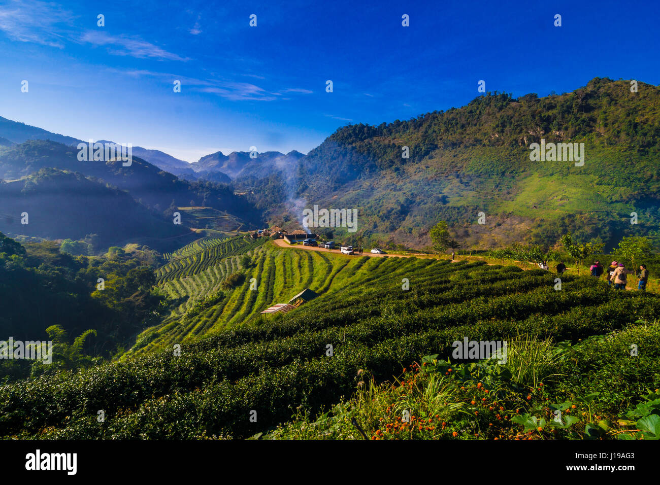 Royal project farm hi-res stock photography and images - Alamy