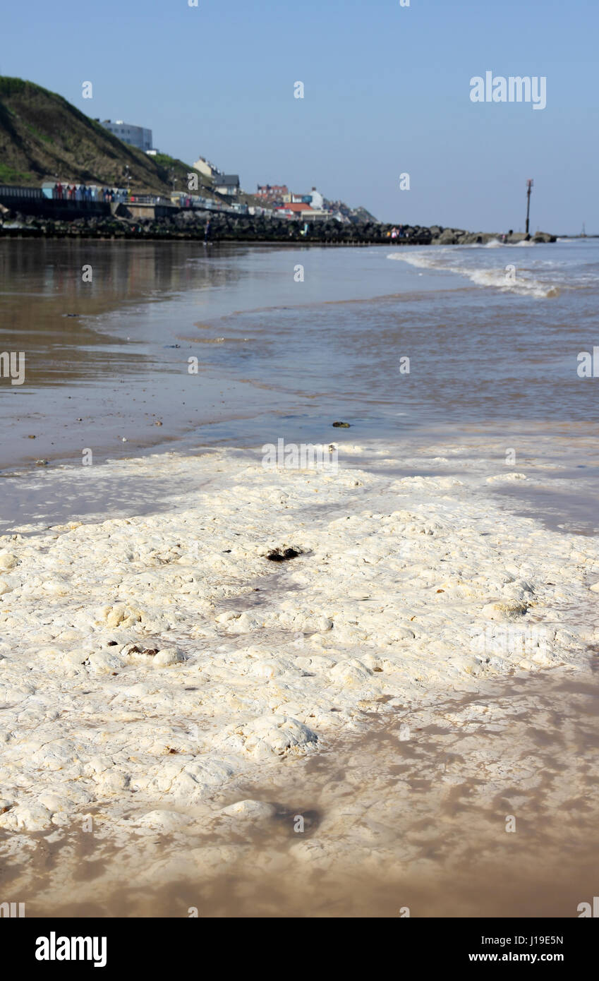 rocks on Sheringham beach Stock Photo - Alamy