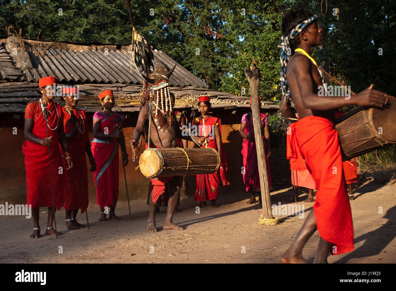 Gaur maria hi-res stock photography and images - Alamy