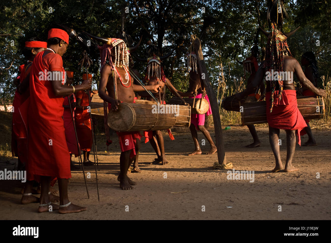 Dance performed by Bison Horn Maria tribespeople ( India). This is the ...