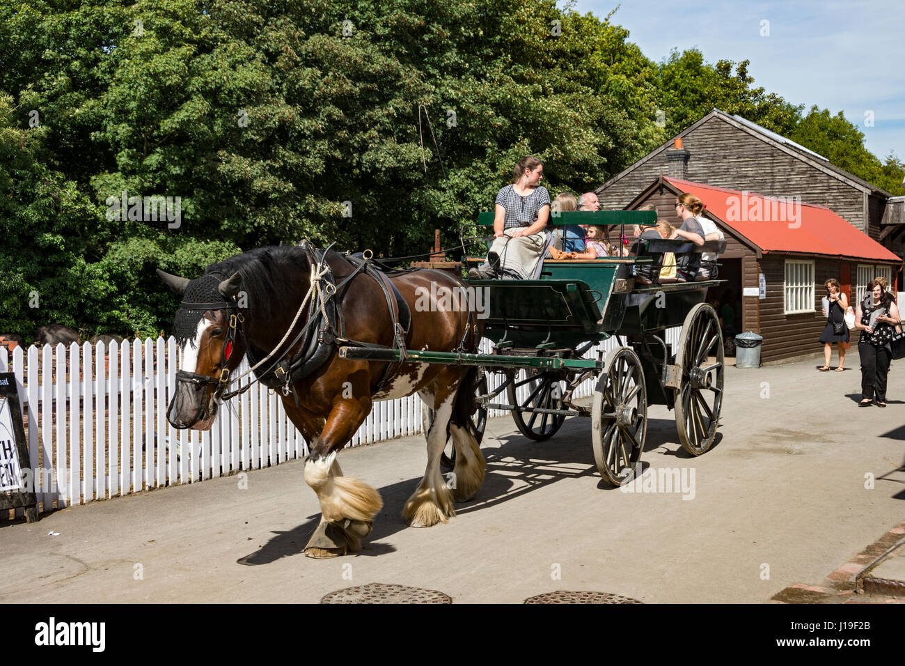 Casey the shire horse pulling a passenger carriage at the Blists Hill ...