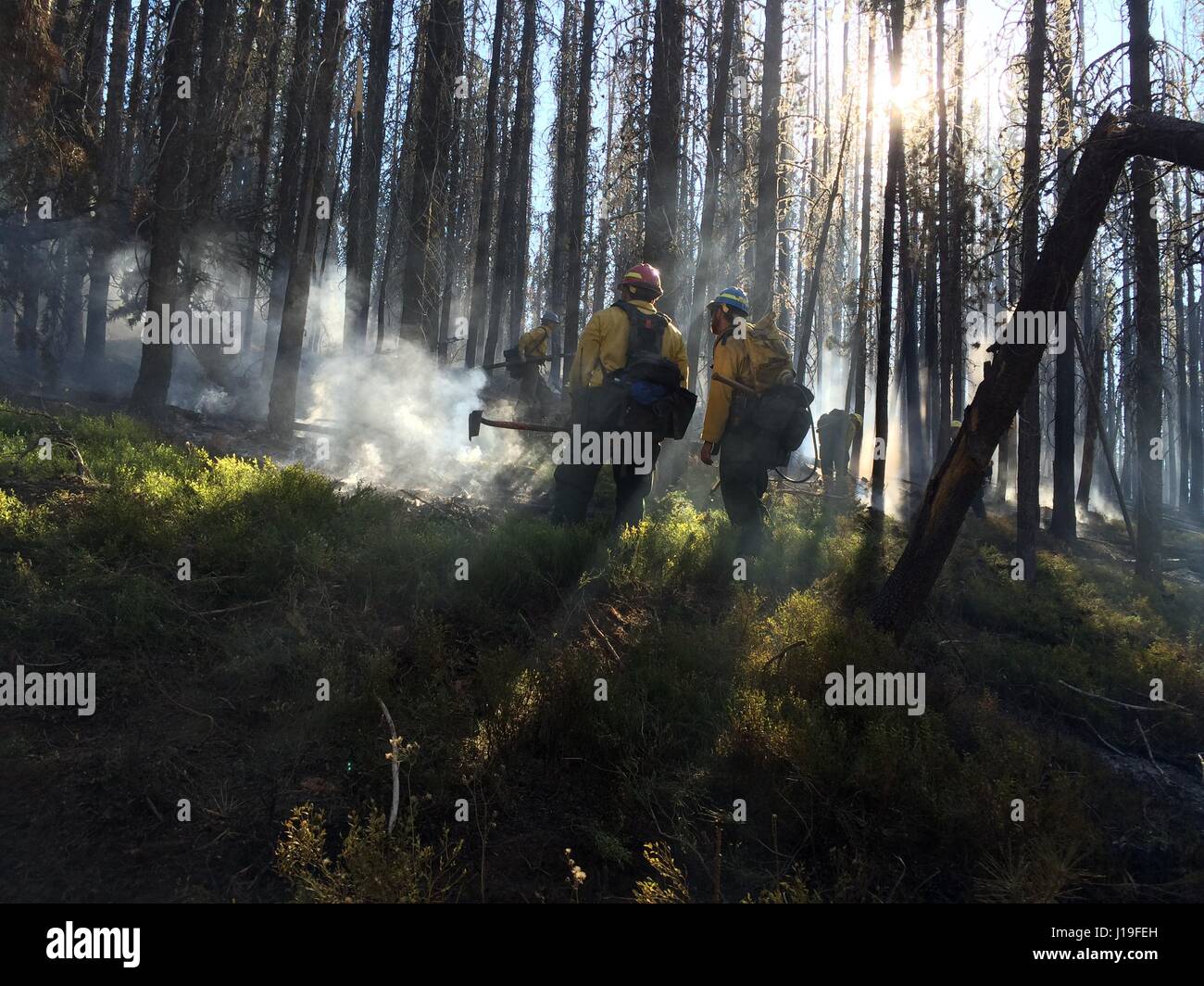 Wildland High Resolution Stock Photography and Images - Alamy