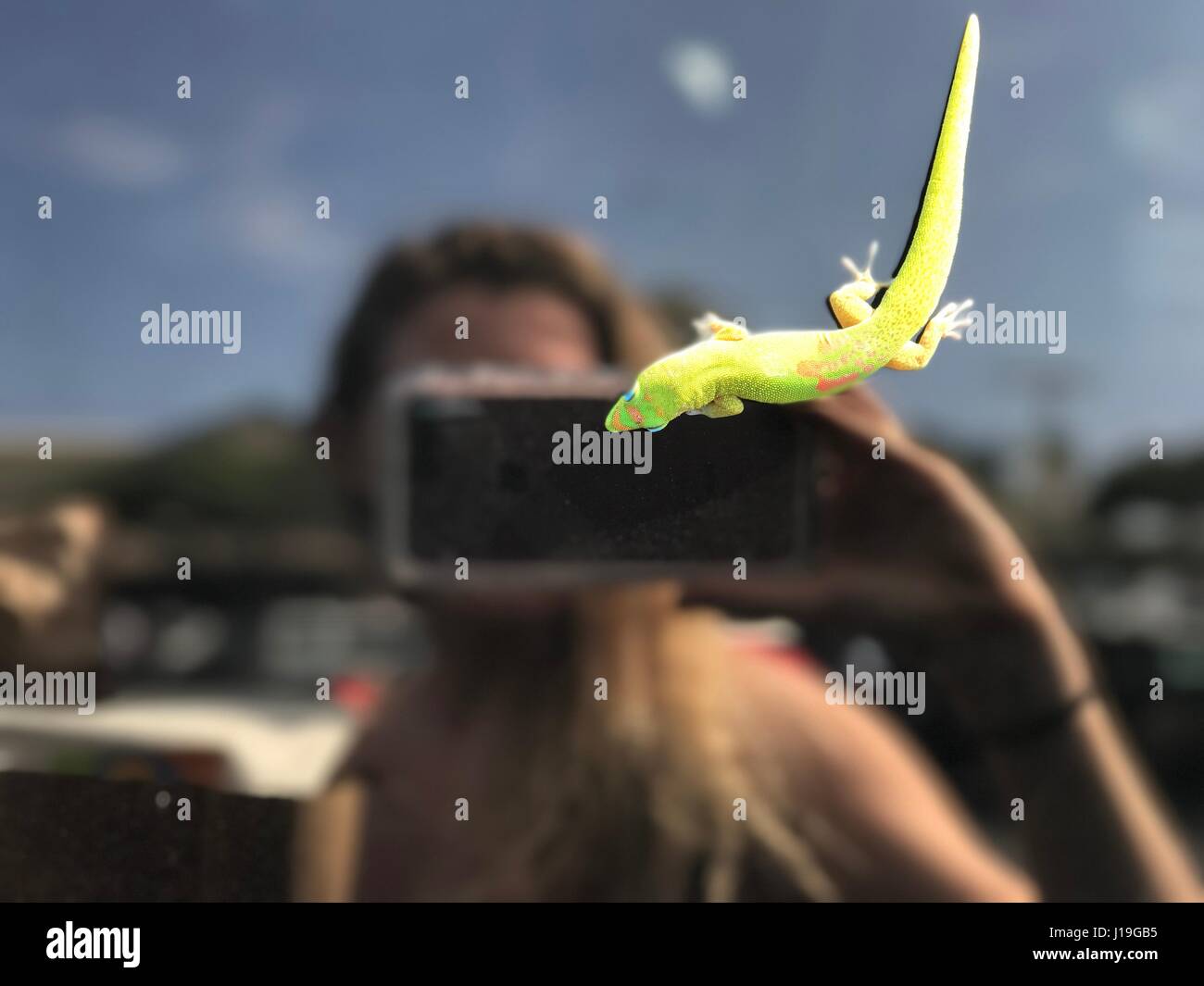 Hitchhiker Car High Resolution Stock Photography and Images - Alamy