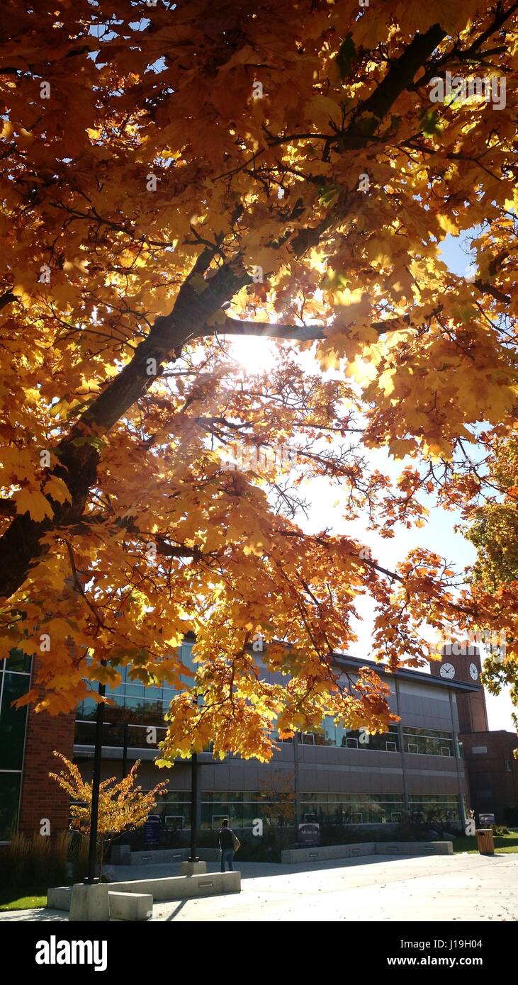 Spokane Autumn High Resolution Stock Photography and Images - Alamy
