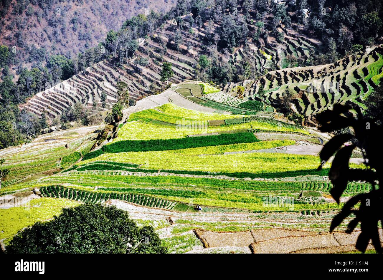 Hilly Region Of Nepal Stock Photos & Hilly Region Of Nepal Stock Images - Alamy