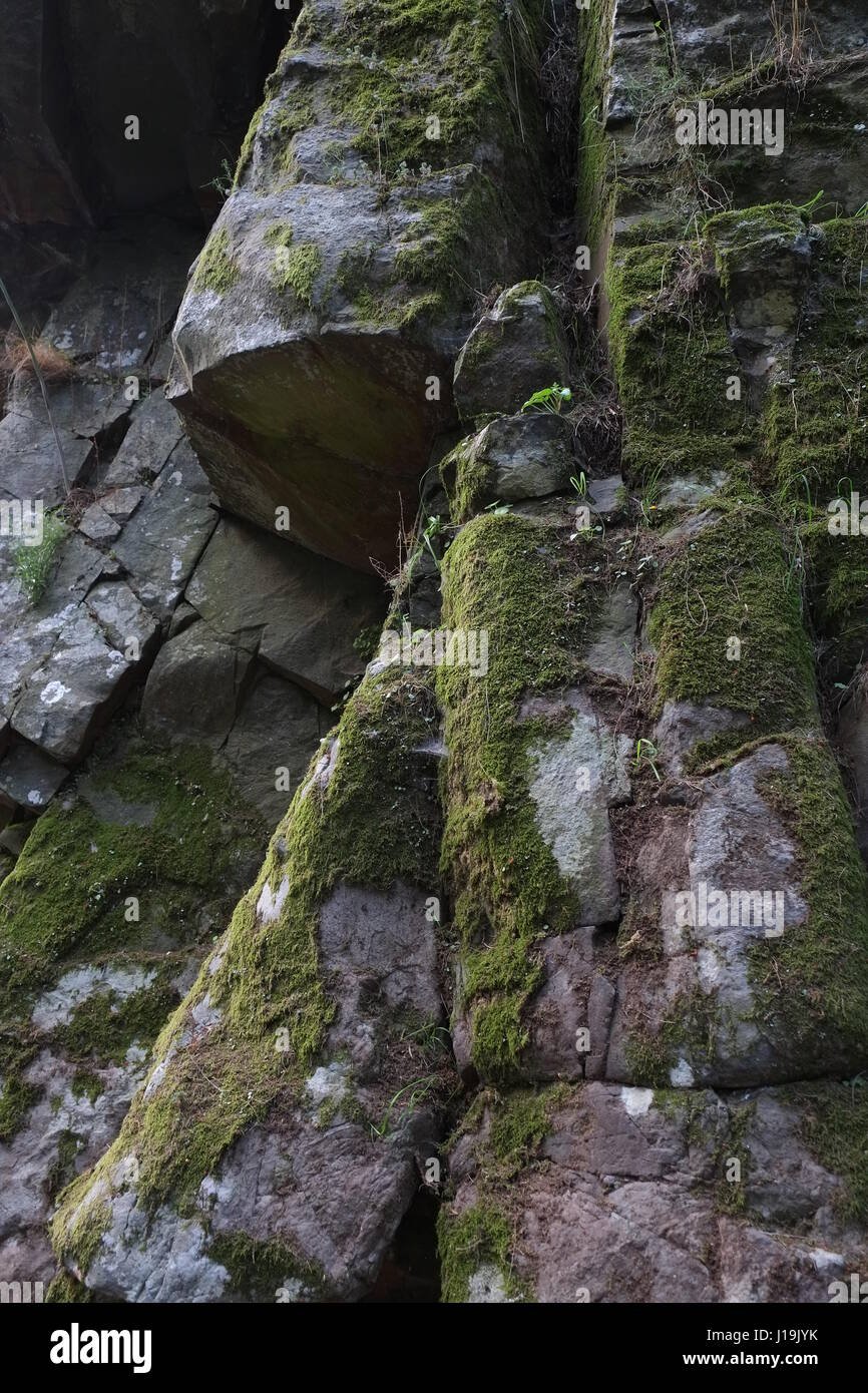 Stone and musk natural textures. Image taken in Serra da Lousa, Coimbra ...