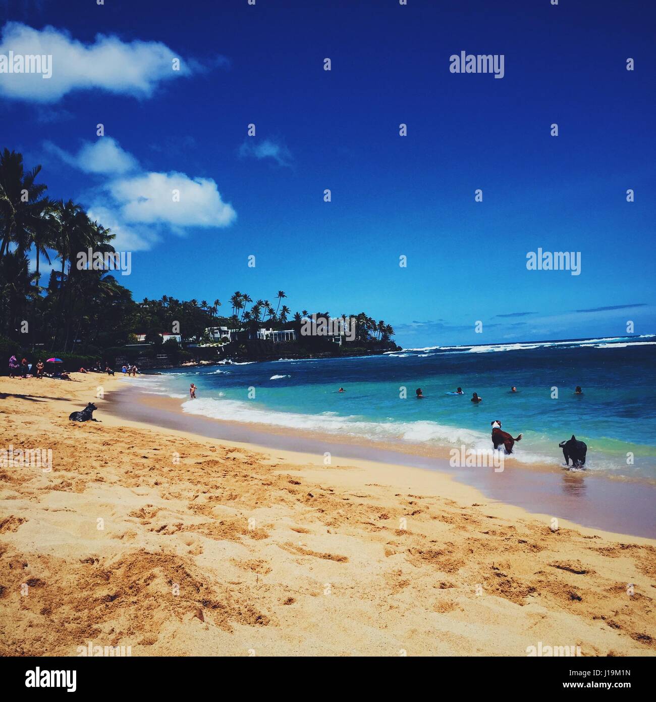 Kahala Beach High Resolution Stock Photography and Images - Alamy
