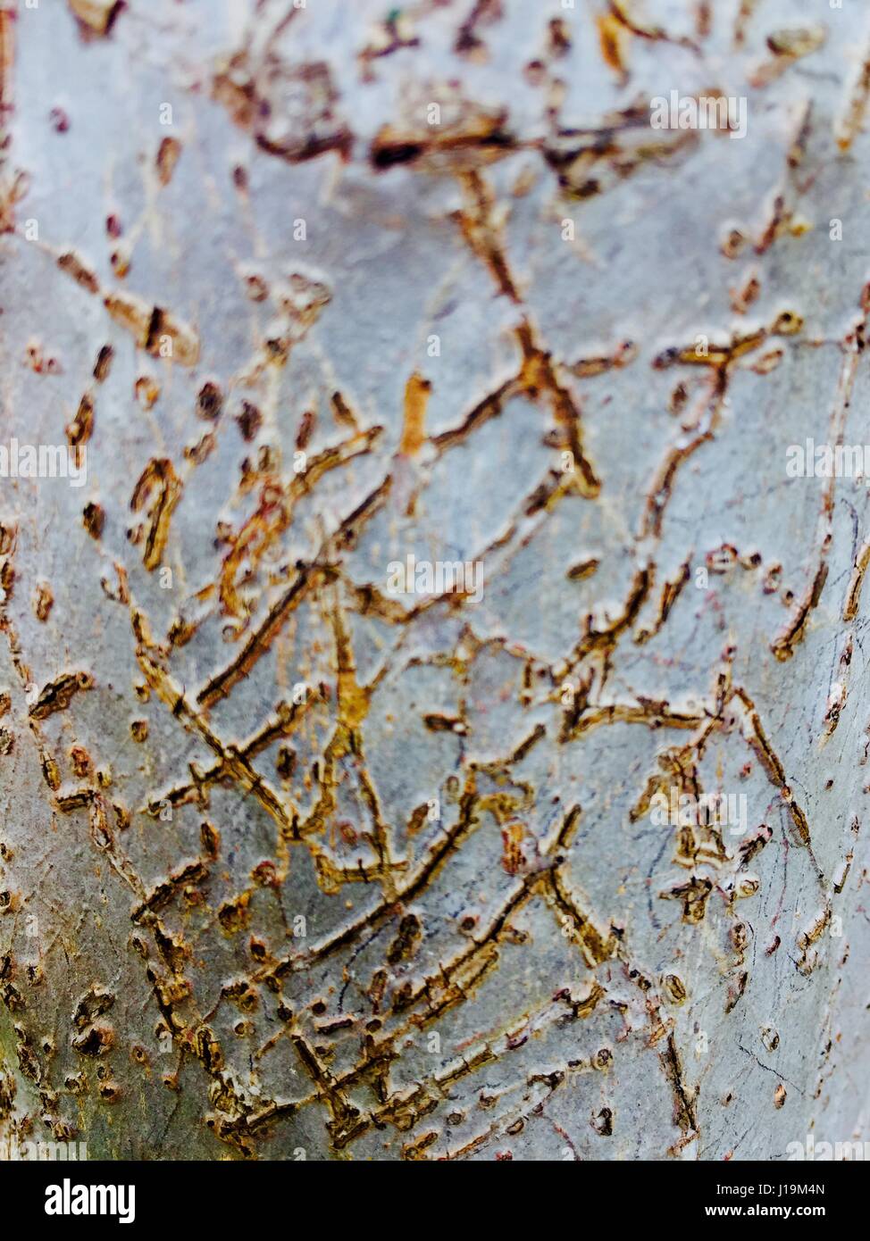 Abstract Corrosion High Resolution Stock Photography and Images - Alamy