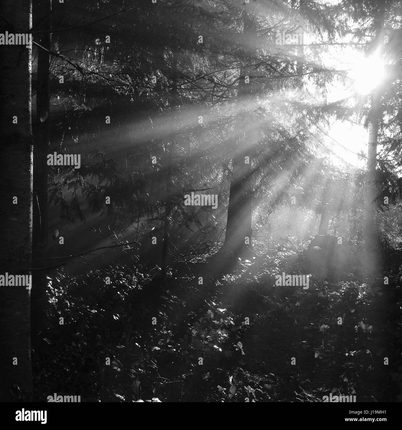 White Sun Rays High Resolution Stock Photography and Images - Alamy