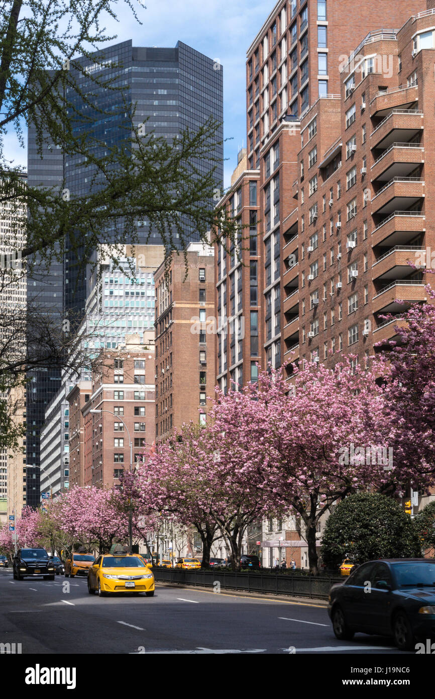 New york spring flower park avenue hi-res stock photography and images ...