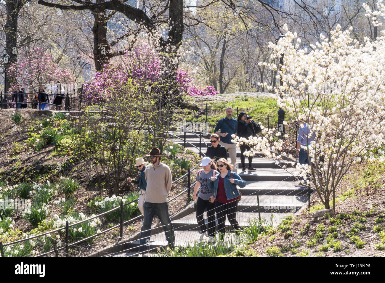 Women in springtime hi-res stock photography and images - Alamy