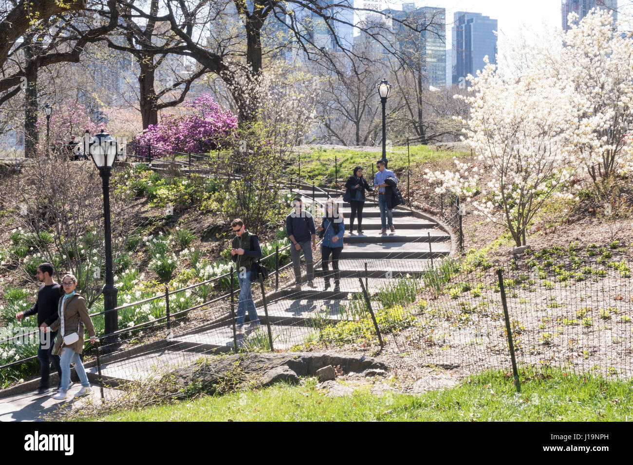 Central Park in Springtime, NYC, USA Stock Photo - Alamy