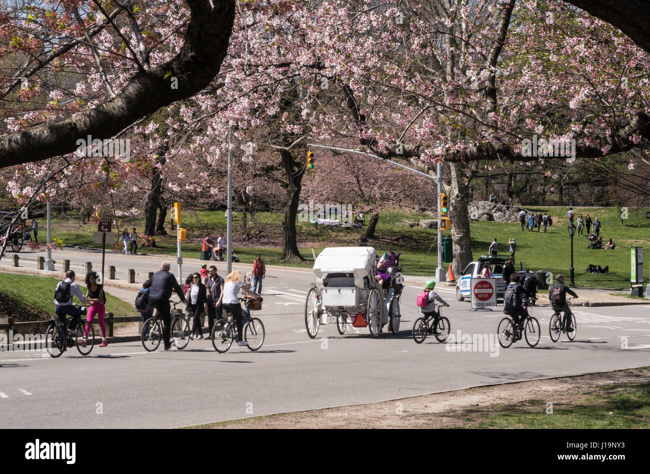 Central Park in Springtime, NYC, USA Stock Photo - Alamy