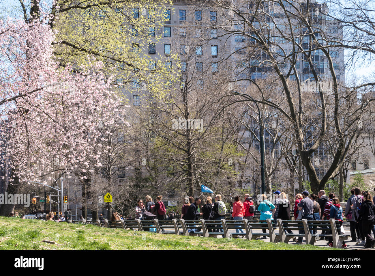 Central Park in Springtime, NYC, USA Stock Photo - Alamy