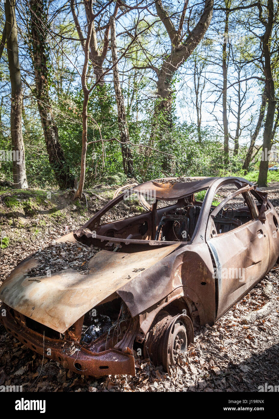 Burned out car in woodland Stock Photo - Alamy