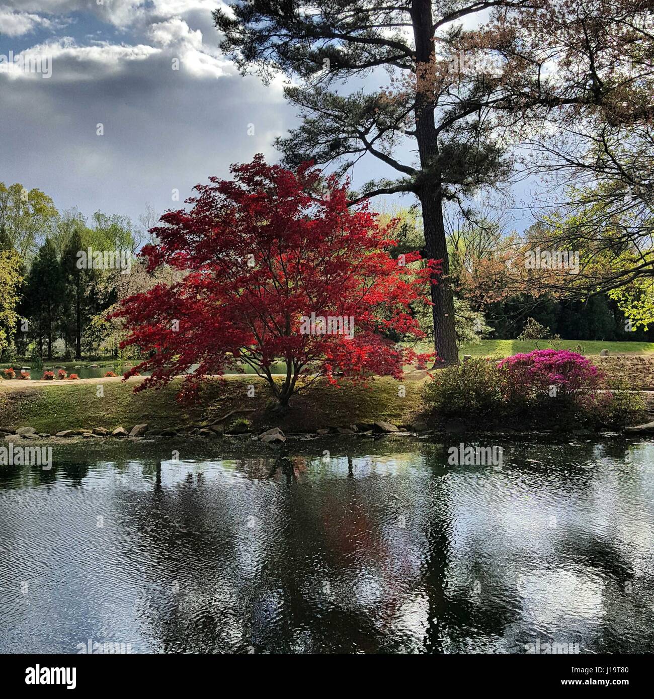 Maymont Park High Resolution Stock Photography and Images - Alamy