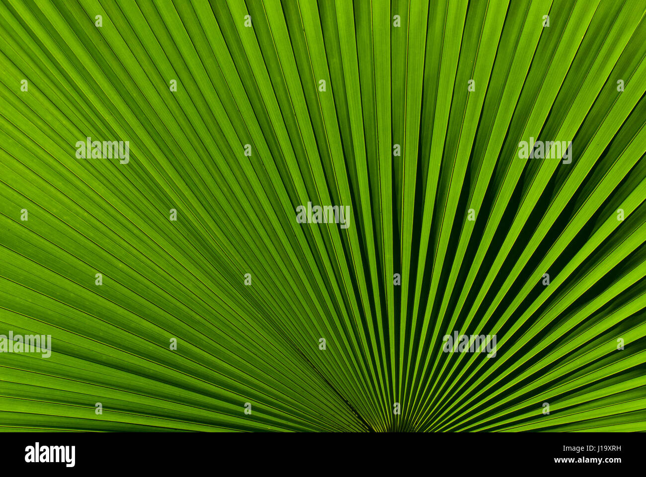 Radiating shapes hi-res stock photography and images - Alamy