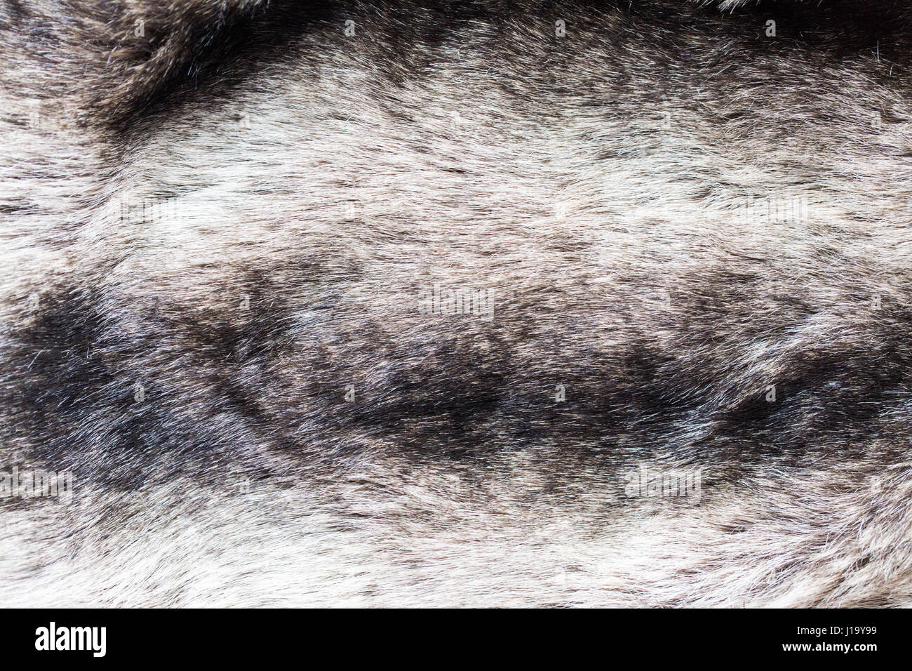 Faux fur background hi-res stock photography and images - Alamy