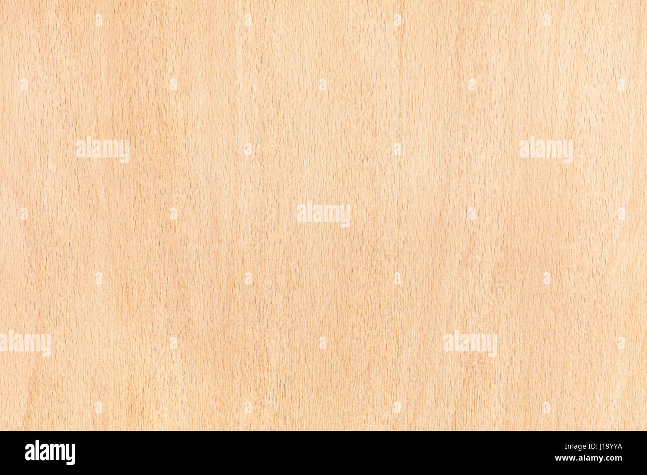 Beech wood texture hi-res stock photography and images - Alamy