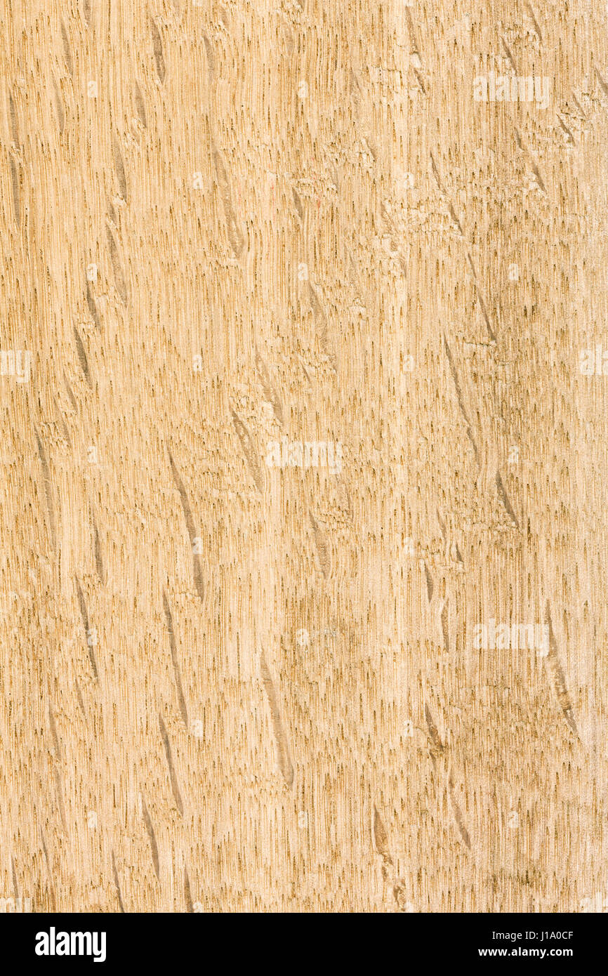 Oak wood. High-detailed wood texture series Stock Photo - Alamy